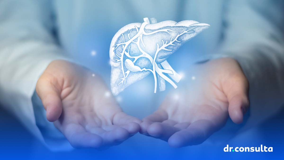 Bula do Baryta Composta Gotas | Blog dr.consulta